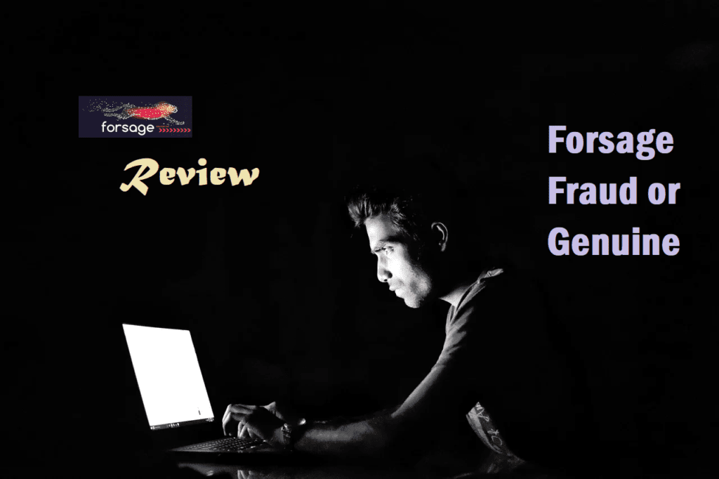 Forsage Ponzi Scam - The Latest Get-Rich-Quick Fraud | WriMy | Write My ...