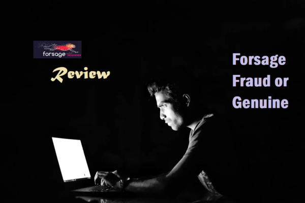 Forsage Ponzi Scam - The Latest Get-Rich-Quick Fraud | WriMy | Write My ...